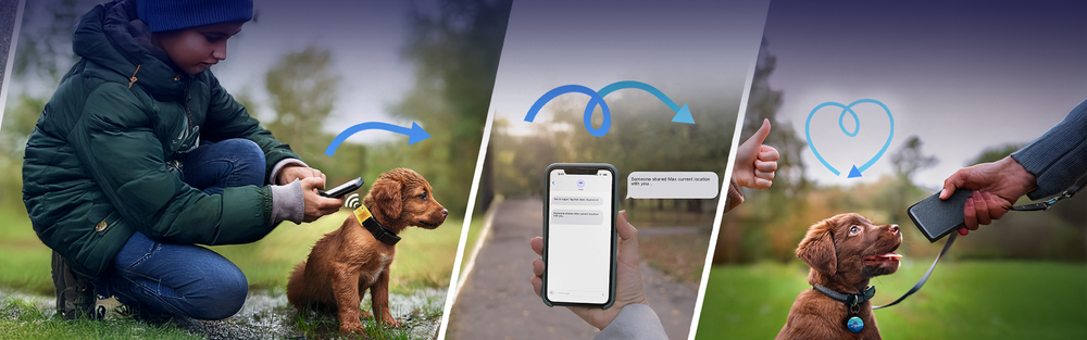 Argus pet tag NFC chip QR code URL Triple safety feature – ARGUS TAG